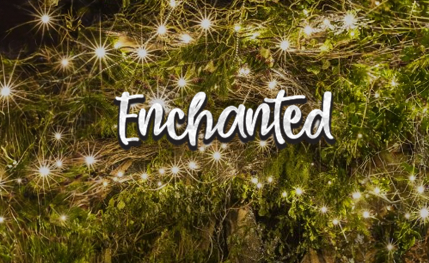 Awesome Christmas London | Shared & Exclusive Parties | 0208 830 5959